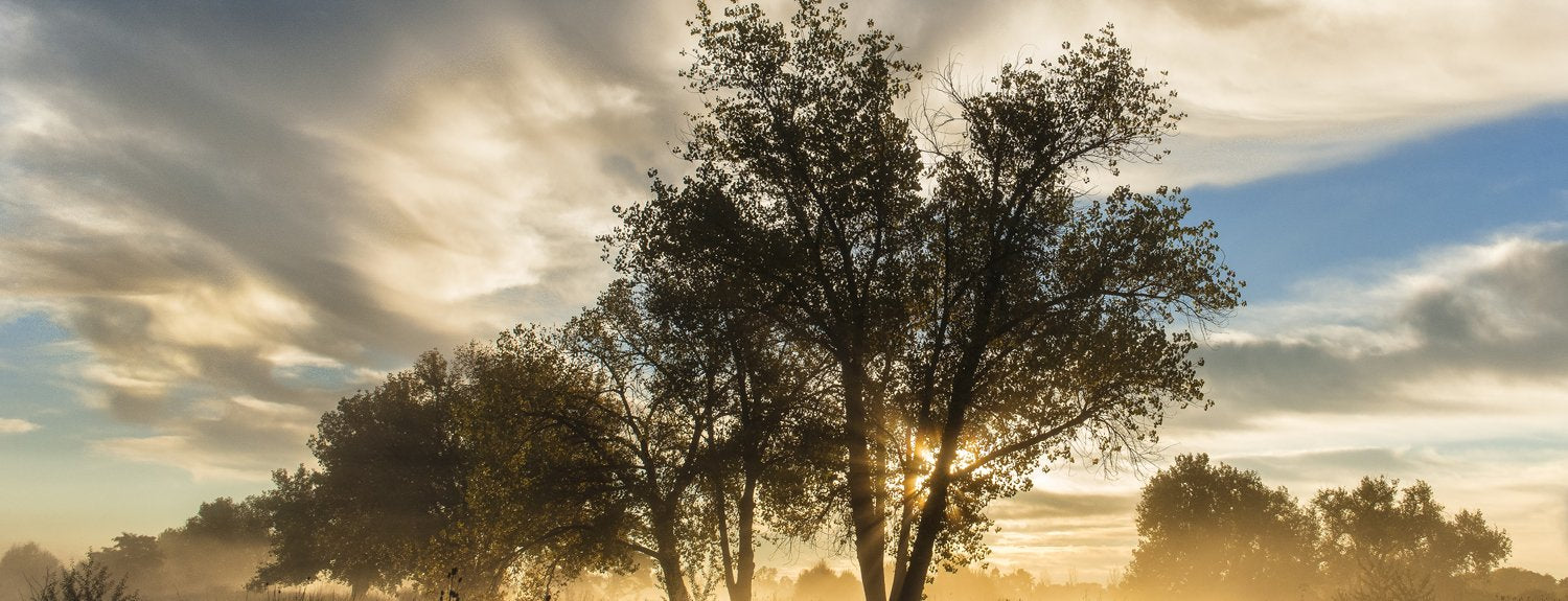 DS0138 – Daysinnimages