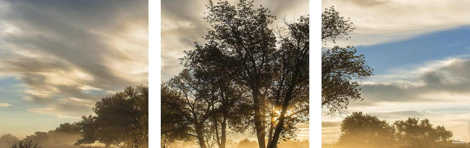 DS0138 – Daysinnimages